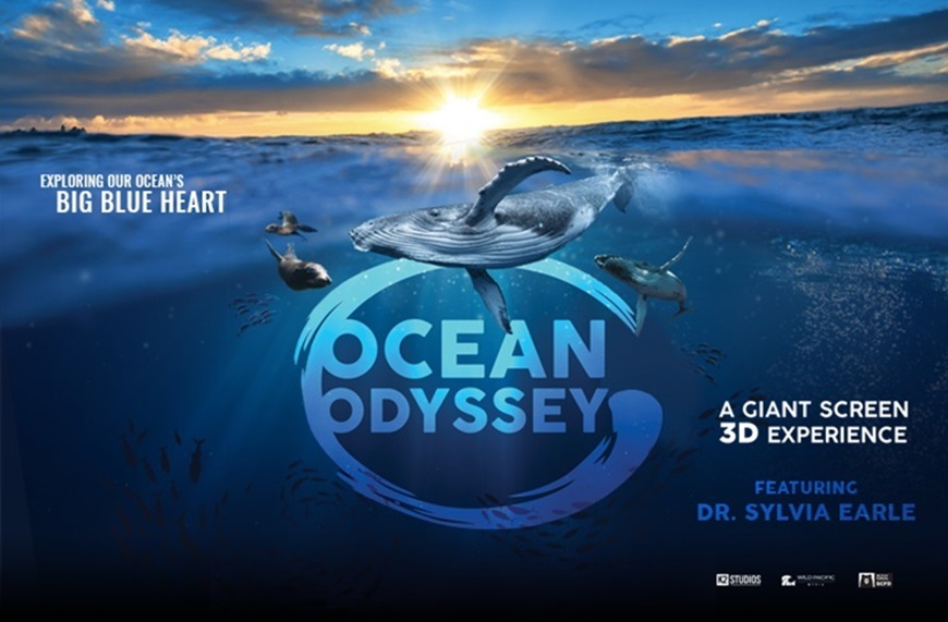 Denver Museum of Nature & Science Online Ticketing Store | Infinity Theater